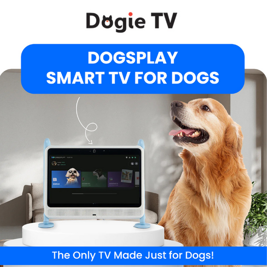 DOGSPLAY - SMART TV FOR DOGS – Dogie TV
