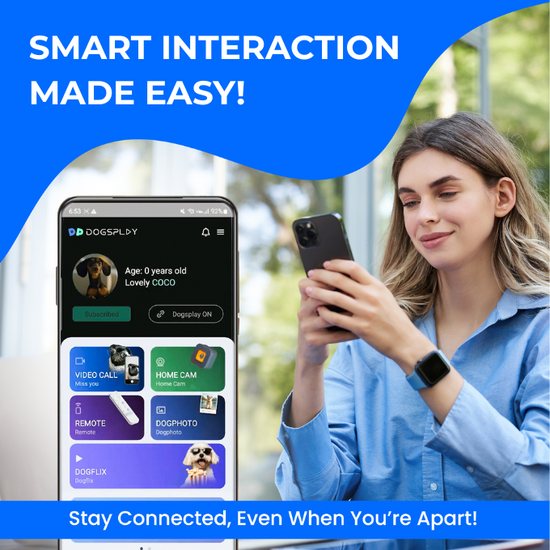 DOGSPLAY - SMART TV FOR DOGS – Dogie TV