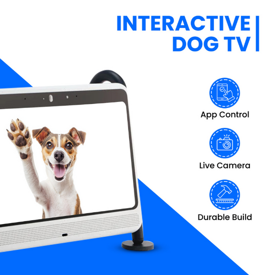 DOGSPLAY - SMART TV FOR DOGS – Dogie TV